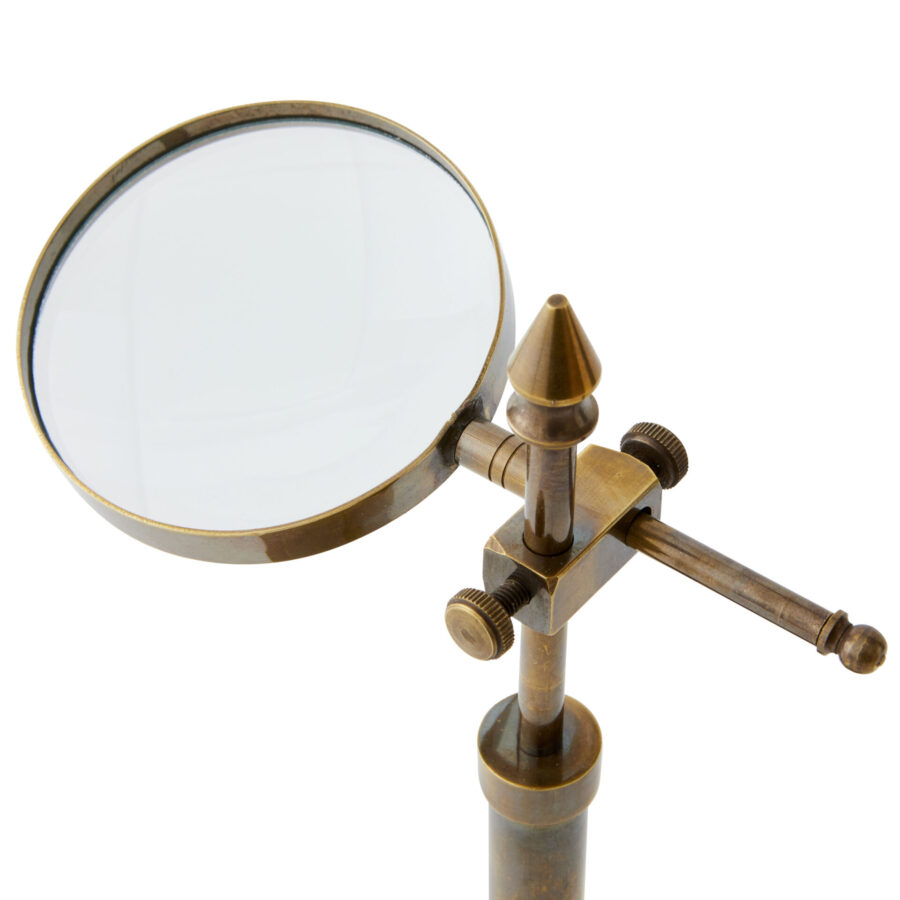Darwin Desk Magnifier – Paradox Collections