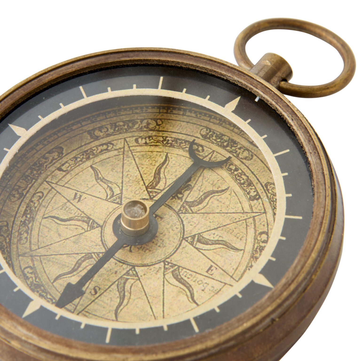 North Compass – Paradox Collections